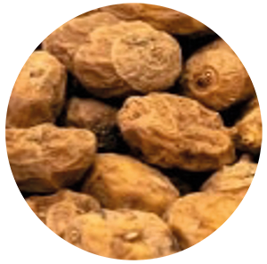 Tiger Nuts Large 25kg – Donald Cooke Ltd