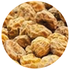 Tiger Nuts Small 25kg – Donald Cooke Ltd